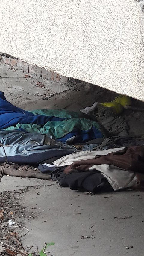 Locatari deranjaţi de aurolaci. Posibil focar de infecţie